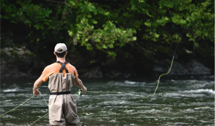 The Treasure Of Unicoi County’s Micro-Economy - Unicoi County